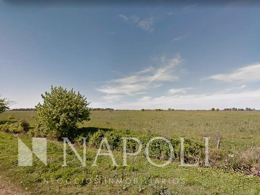 Venta Campo, 44 ha, San Martin Y Juan Garay, Alejandro Korn | Argenprop Venta Campo, 44 ha, San Martin Y Juan Garay, Alejandro Korn | Argenprop