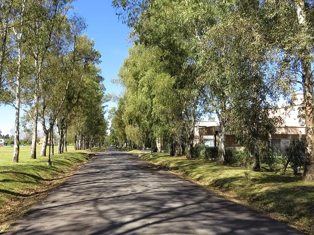 La Cesarina - Barrio cerrado - General Rodriguez - Argenprop