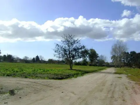 ALBERTO DACAL PROPIEDADES - Argenprop