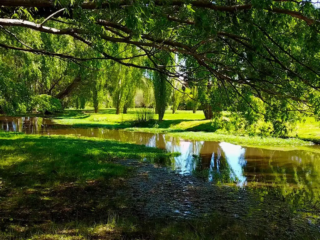 Rumenco - Barrio cerrado - General Pueyrredon - Argenprop